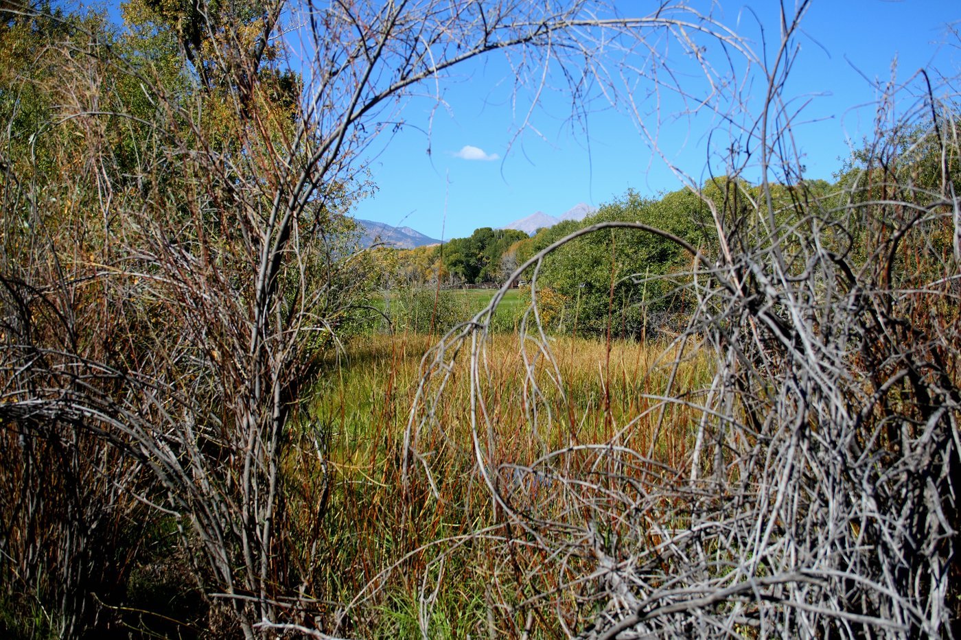 Things To Do - Chalk Creek And St Elmo Drive | Fourteener Country's #1 ...